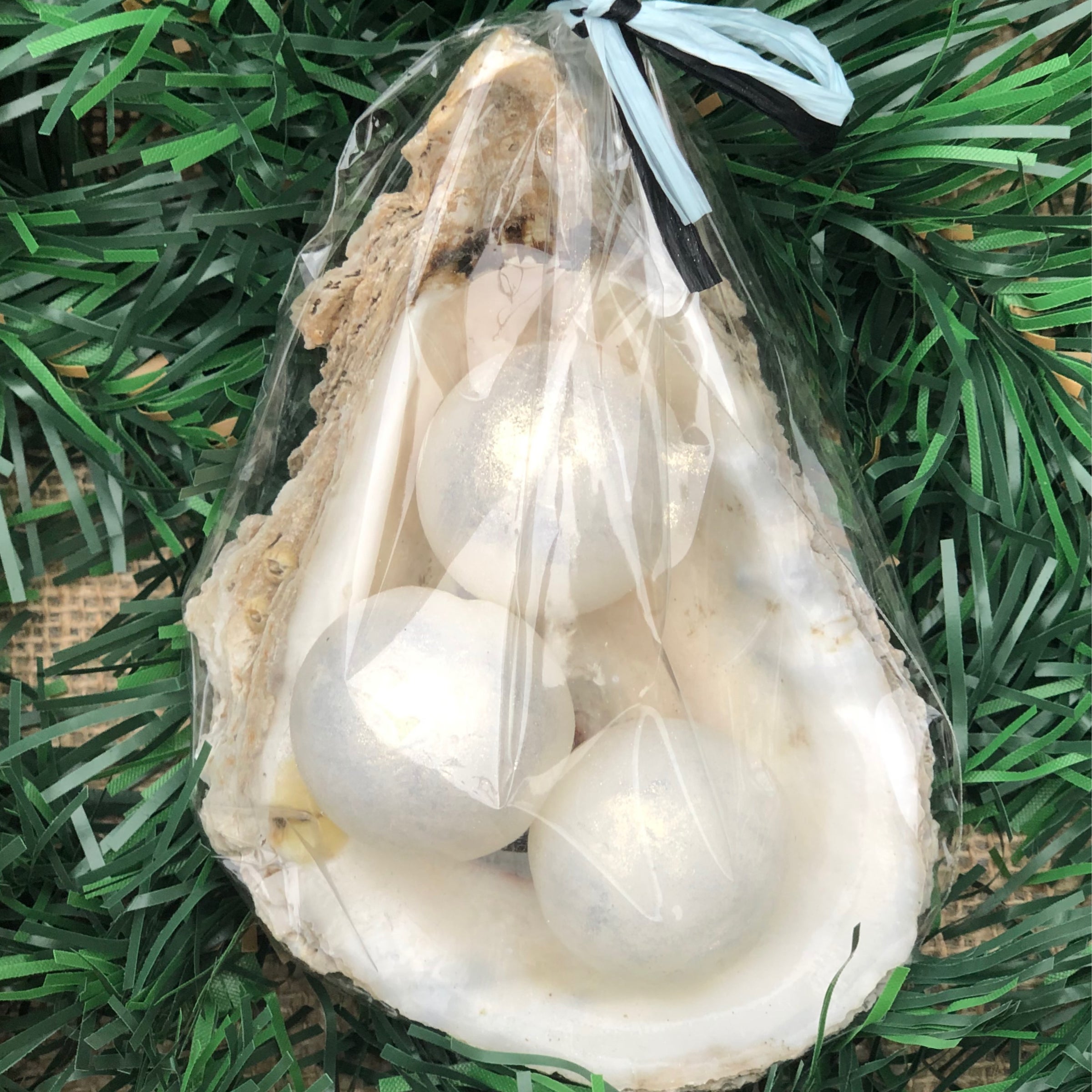 Pearls In Shell Gift